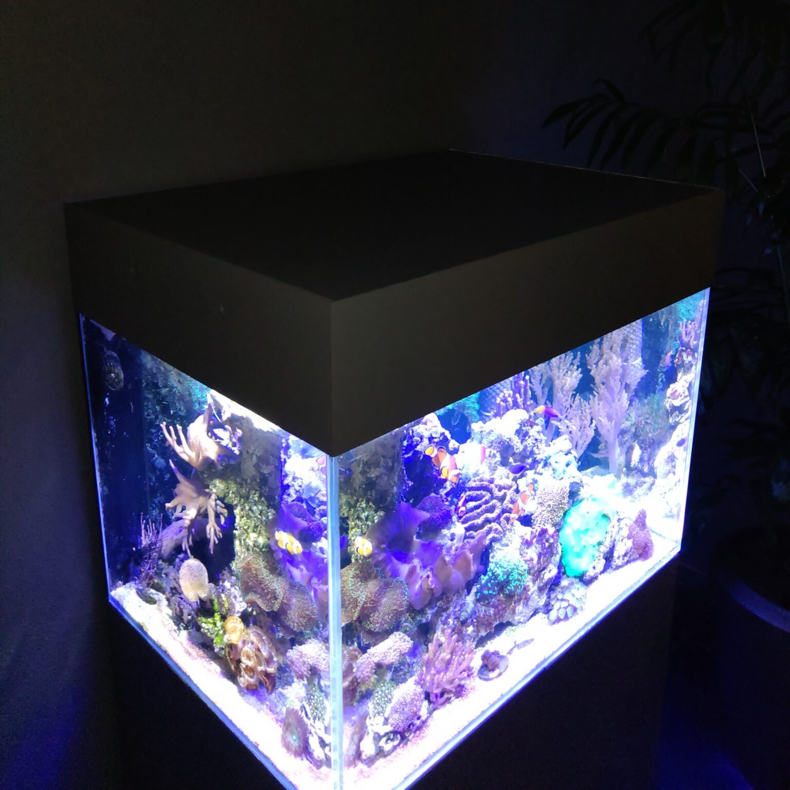 Aquarium omranding met geschuimd PVC | Klus Awards